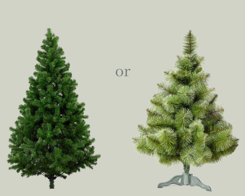 Choose a Sustainable Christmas Tree This Festive Season – MACIJI