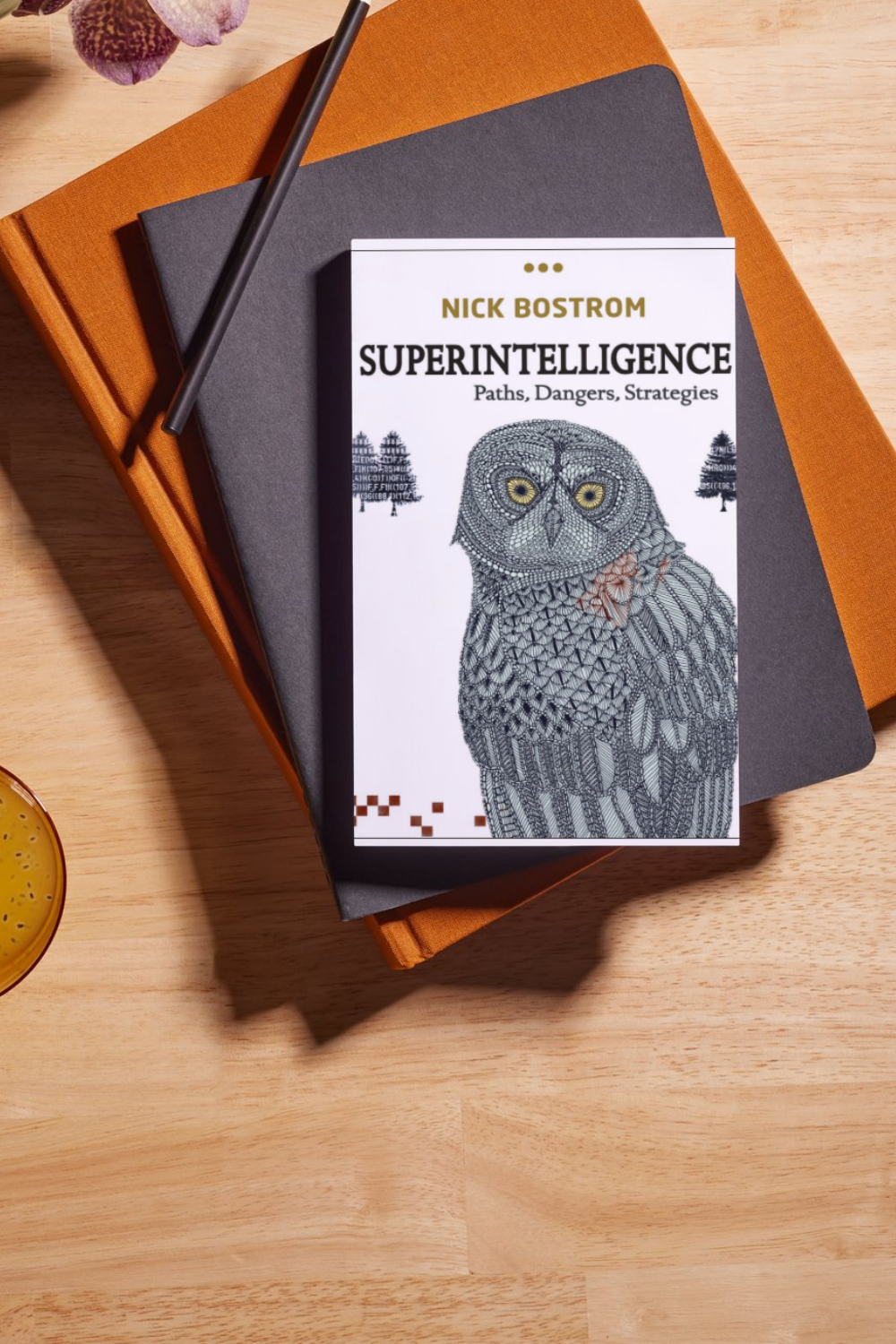 Superintelligence: Paths, Dangers, Strategies by Nick Bostrom – MACIJI