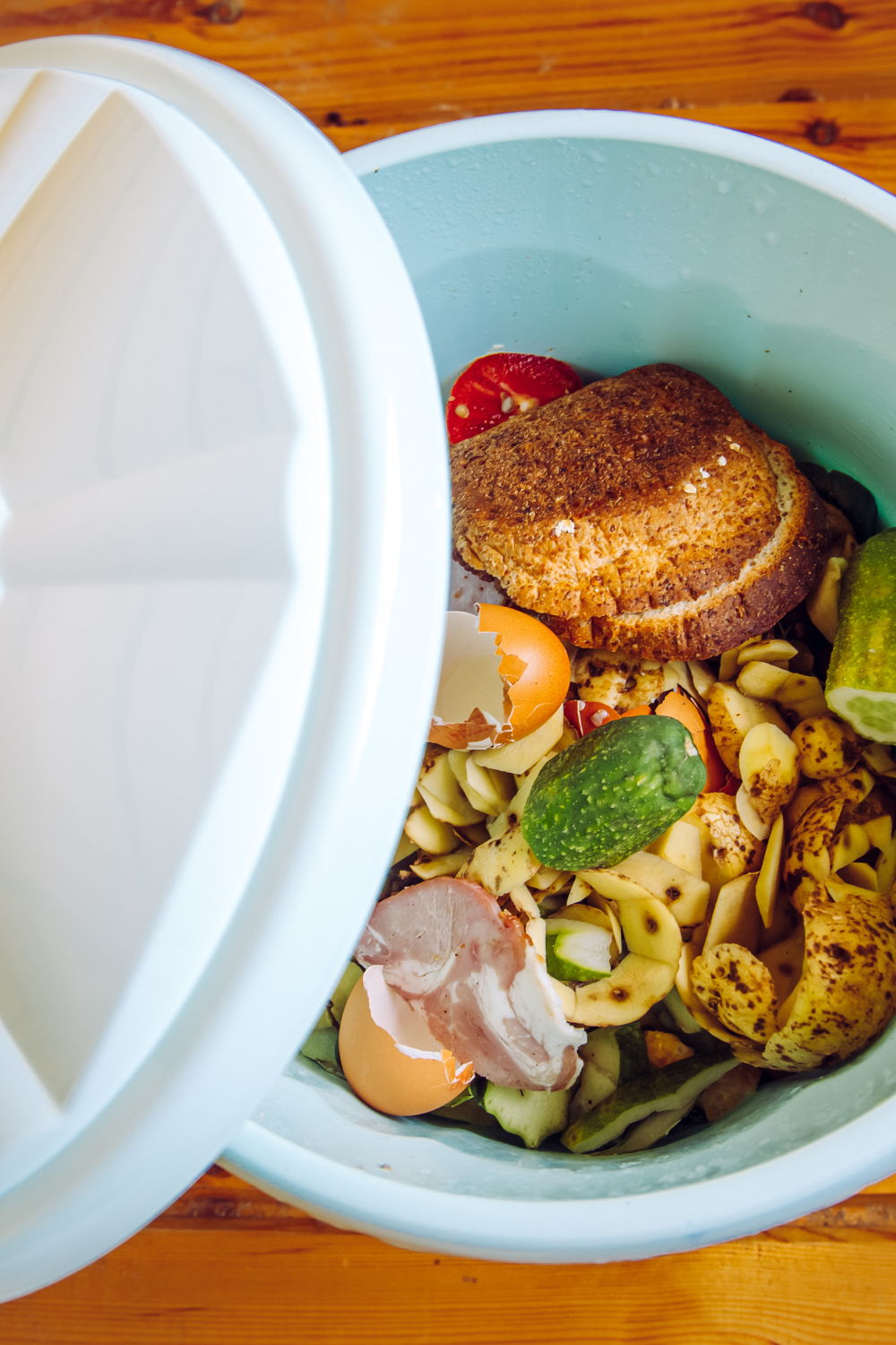 DIY Compost Bin: A Simple Step Toward Sustainability – MACIJI