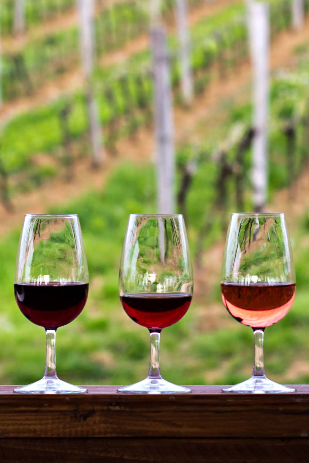 Top Wine Regions to Visit in May for Sightseeing – MACIJI