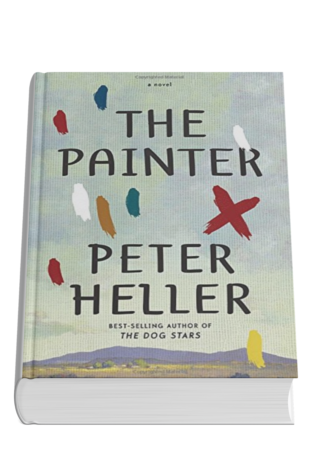The Painter by Peter Heller – MACIJI